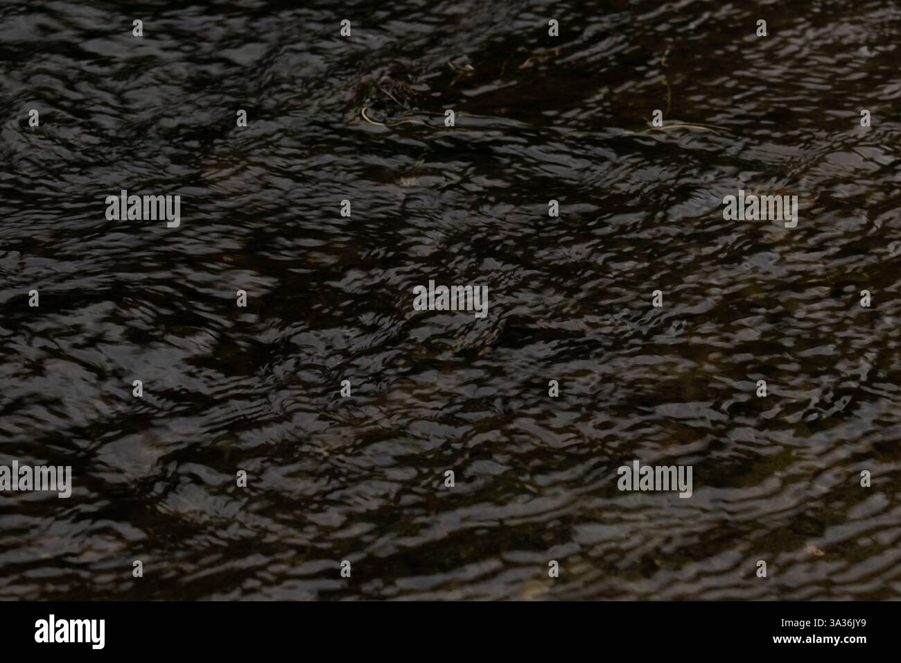 Water waves and reflection, river in motion Stock Photo - Alamy