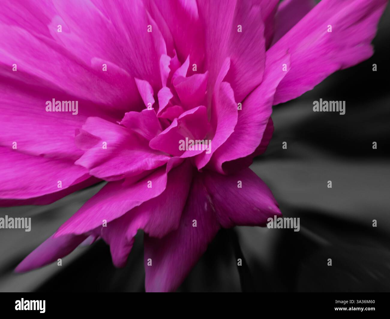Wallpaper dynamic hi-res stock photography and images - Alamy