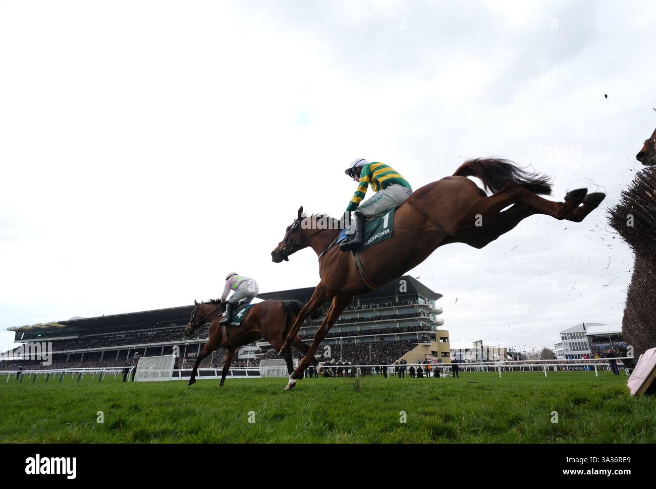 Dinoblue ridden by Mark Walsh on their way to winning the Mrs Paddy ...