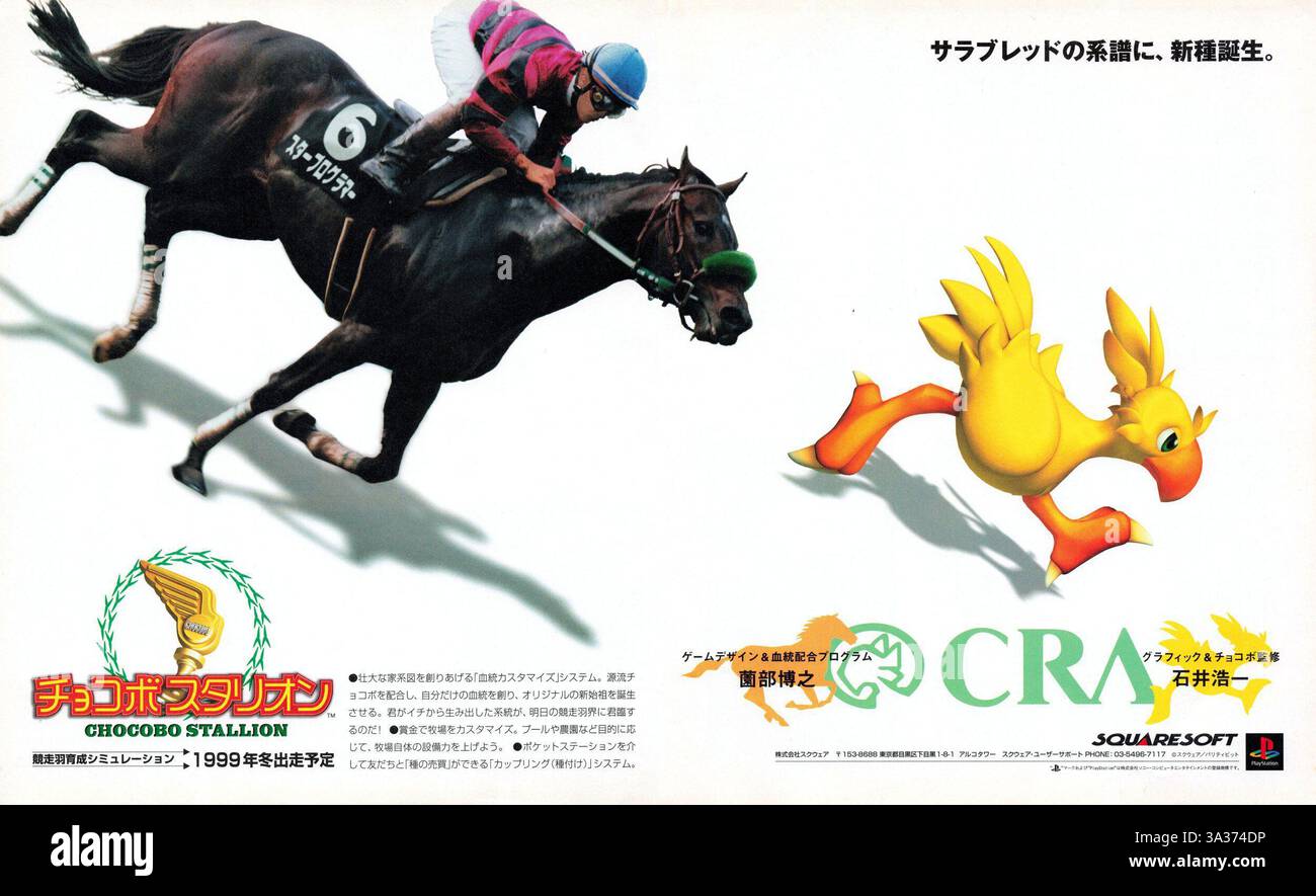 Chocobo stallion hi-res stock photography and images - Alamy