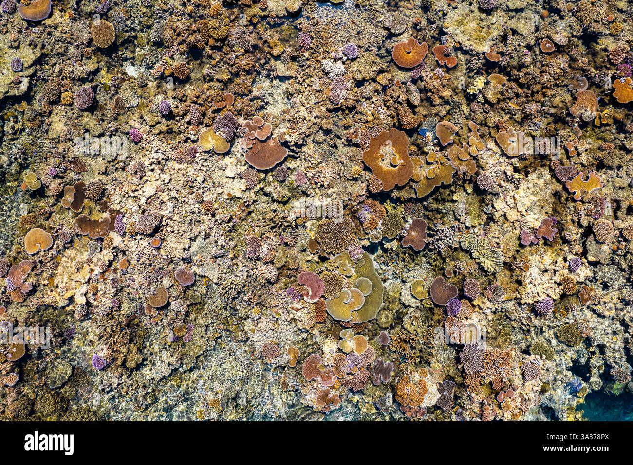 Aerial view of tropical coral reef in the Pacific Ocean in between ...