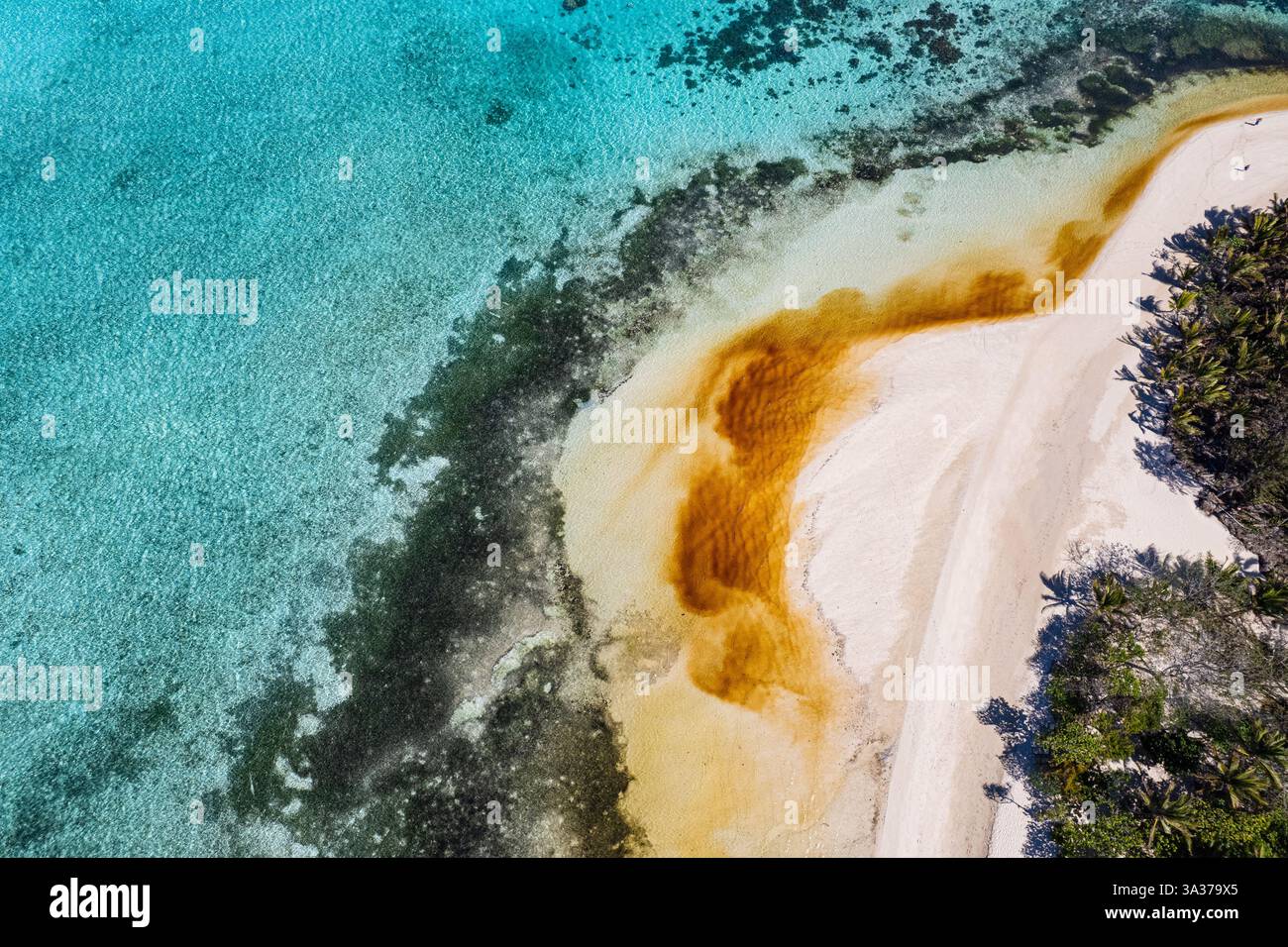 Aerial view of red algae bloom on coral reef - The effects of climate ...