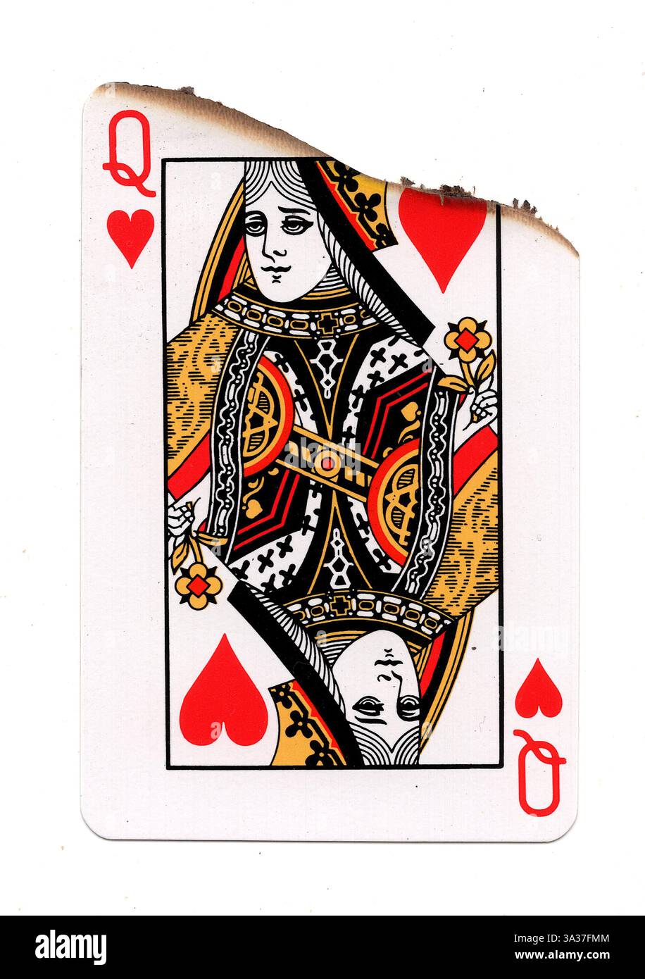 Partly burnt playing card in the suit of hearts isolated on a white ...