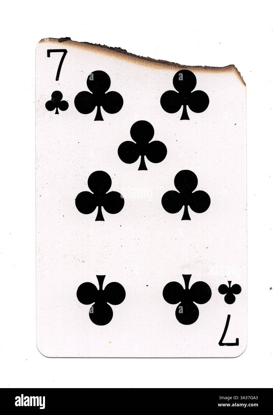 Partly burnt playing card in the suit of clubs isolated on a white ...