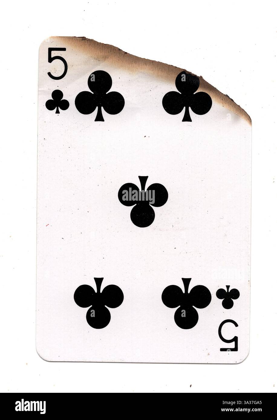 Partly burnt playing card in the suit of clubs isolated on a white ...