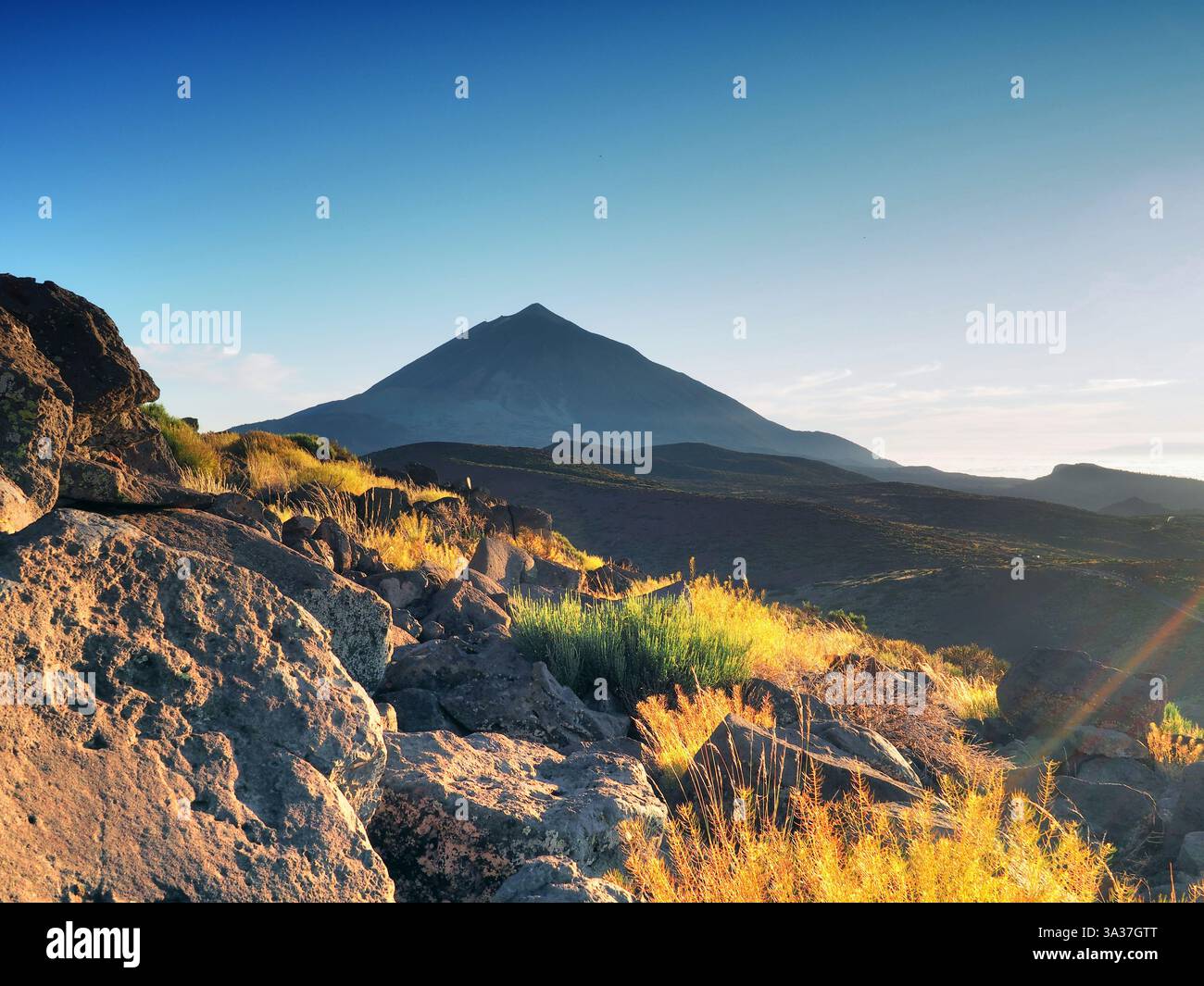 Niedriger sonnenstand hi-res stock photography and images - Alamy