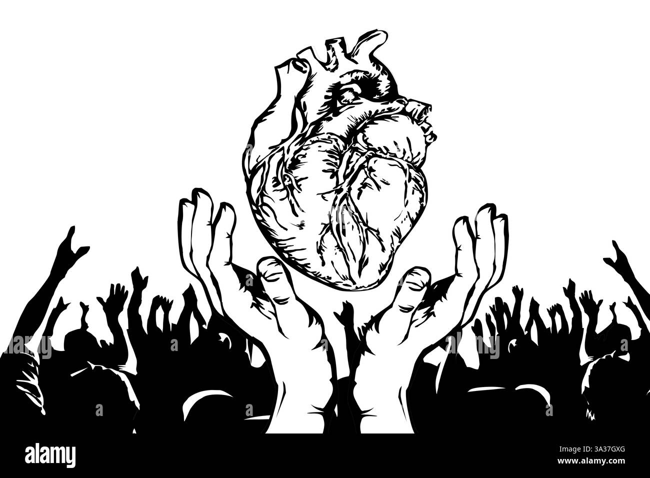 Hands reaching out to a human heart Stock Photo - Alamy