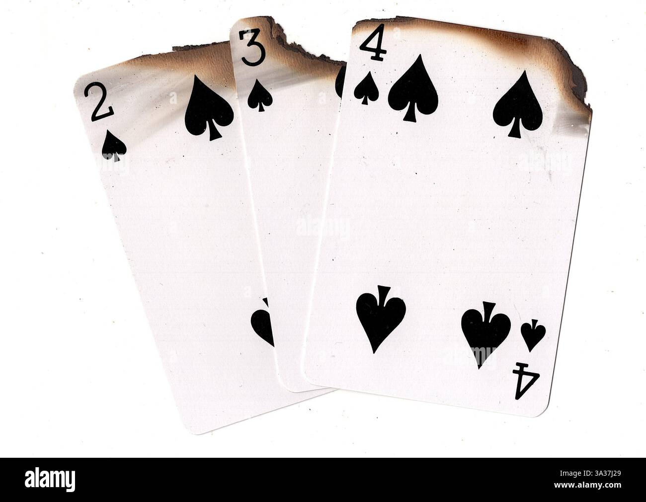 Partly burnt playing cards in the suit of spades isolated on a white ...
