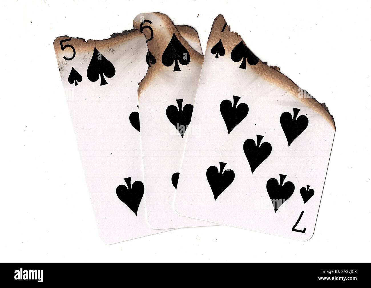Partly burnt playing cards in the suit of spades isolated on a white ...