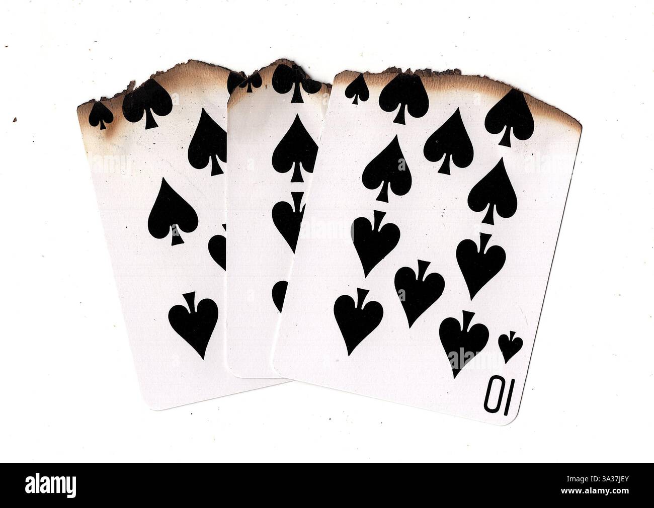 Partly burnt playing cards in the suit of spades isolated on a white ...