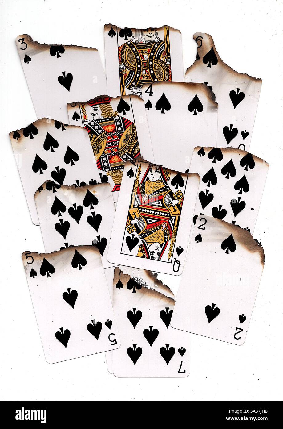 Partly burnt playing cards in the suit of spades isolated on a white ...