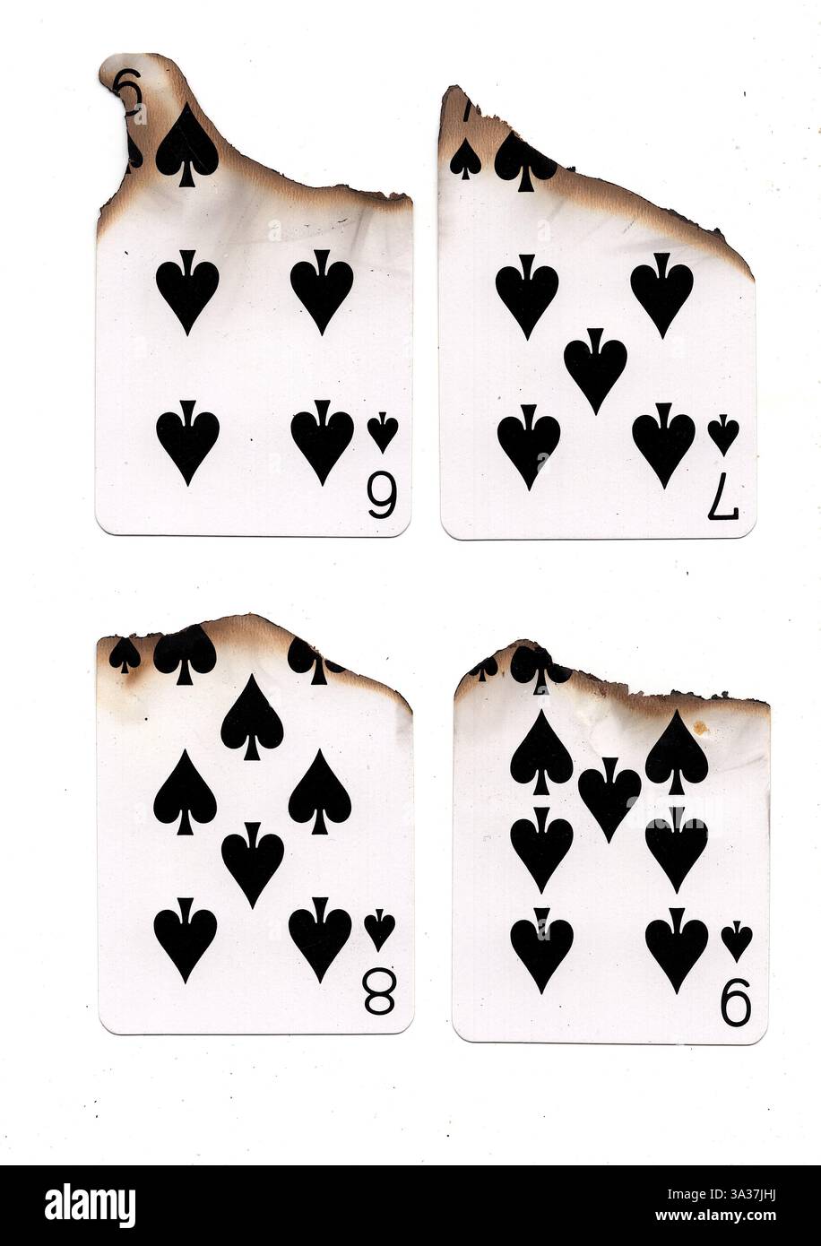 Partly burnt playing cards in the suit of spades isolated on a white ...