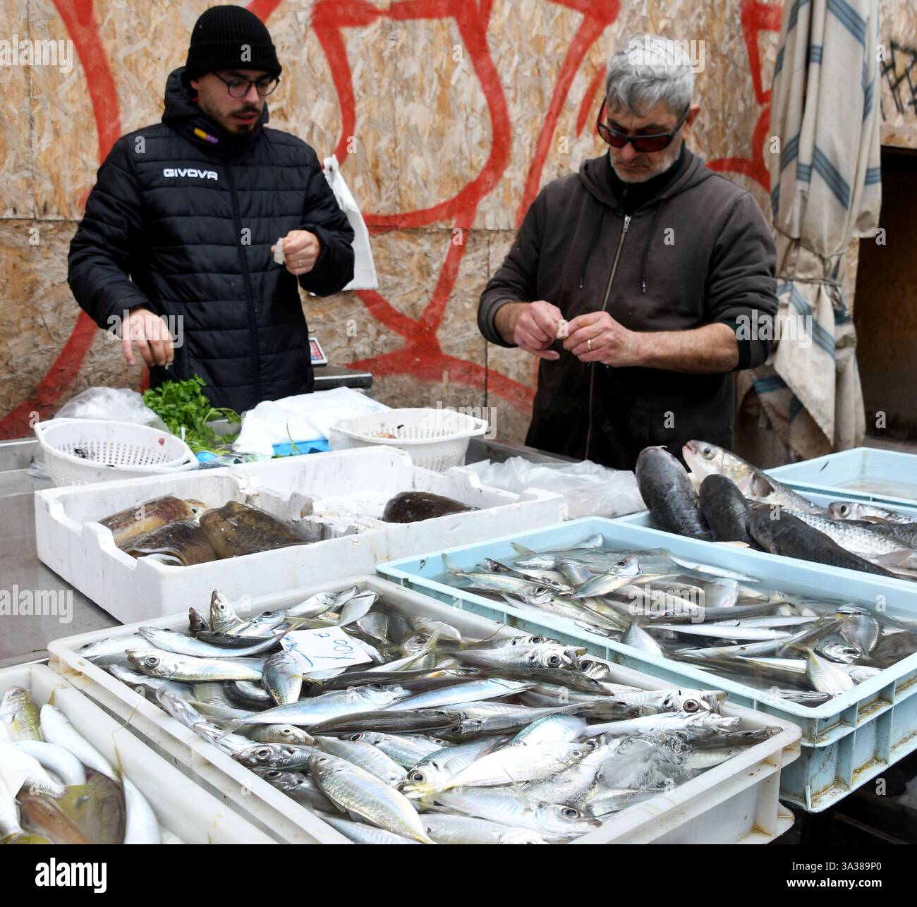 Catania, USA. 1st Mar, 2025. Catania's fish market is lively on ...