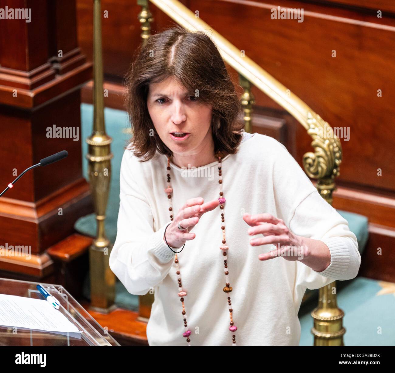 Alexia Bertrand Open VLD at the plenary session of the Chamber at the ...