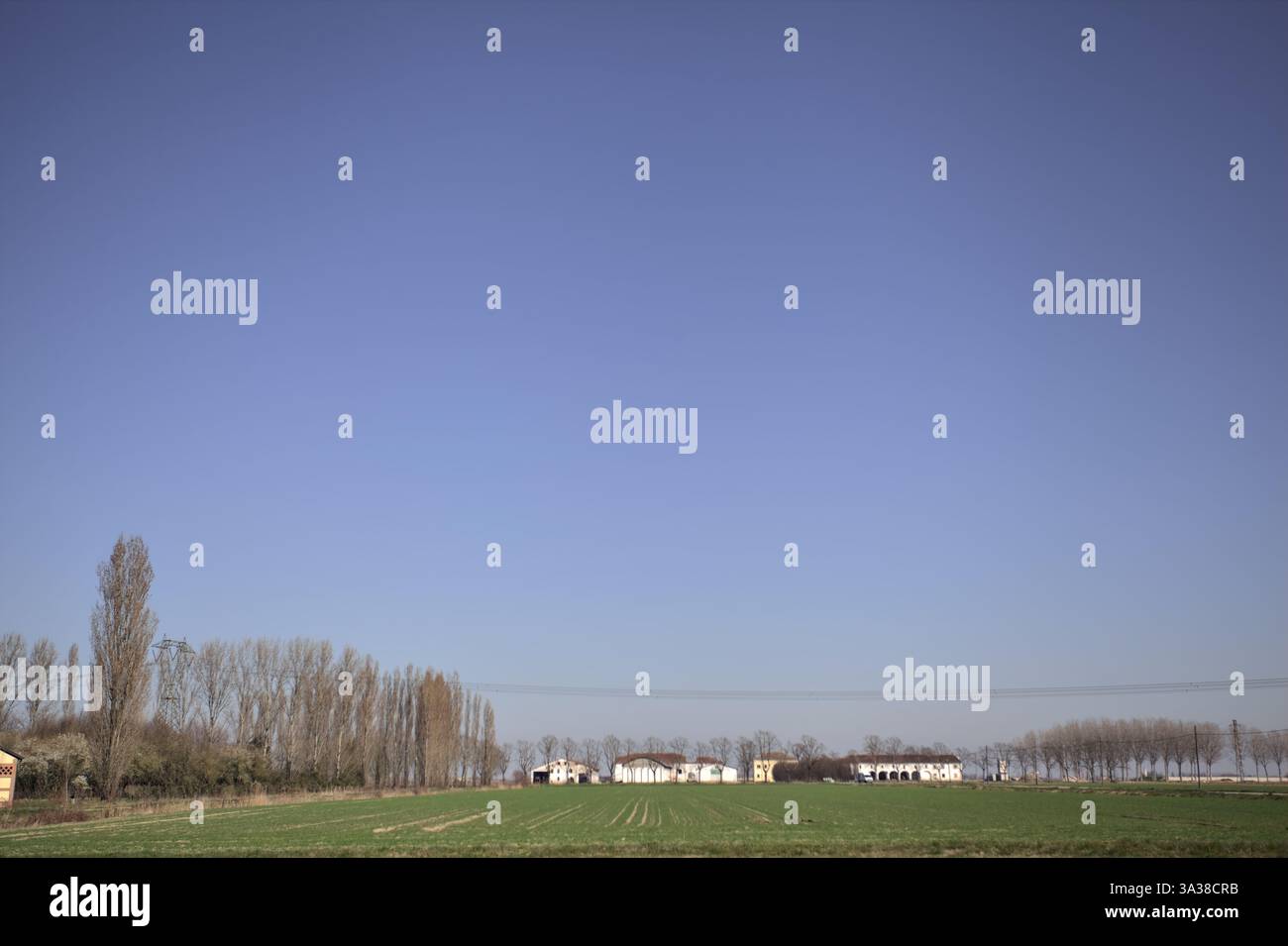 Empty meadow with trees by its side and a manor on the horizon in the ...