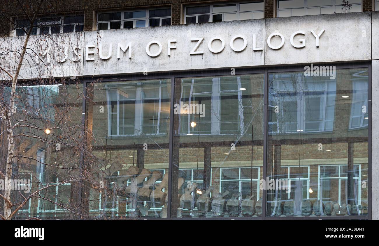 Museum of Zoology, New Museums site, University of Cambridge, England ...