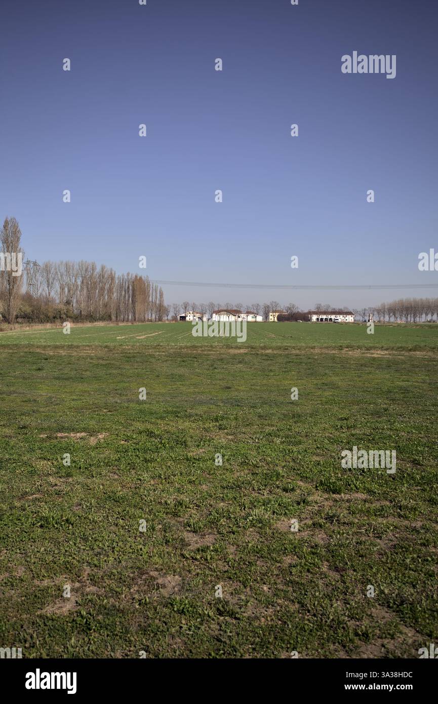 Empty meadow with trees by its side and a manor on the horizon in the ...