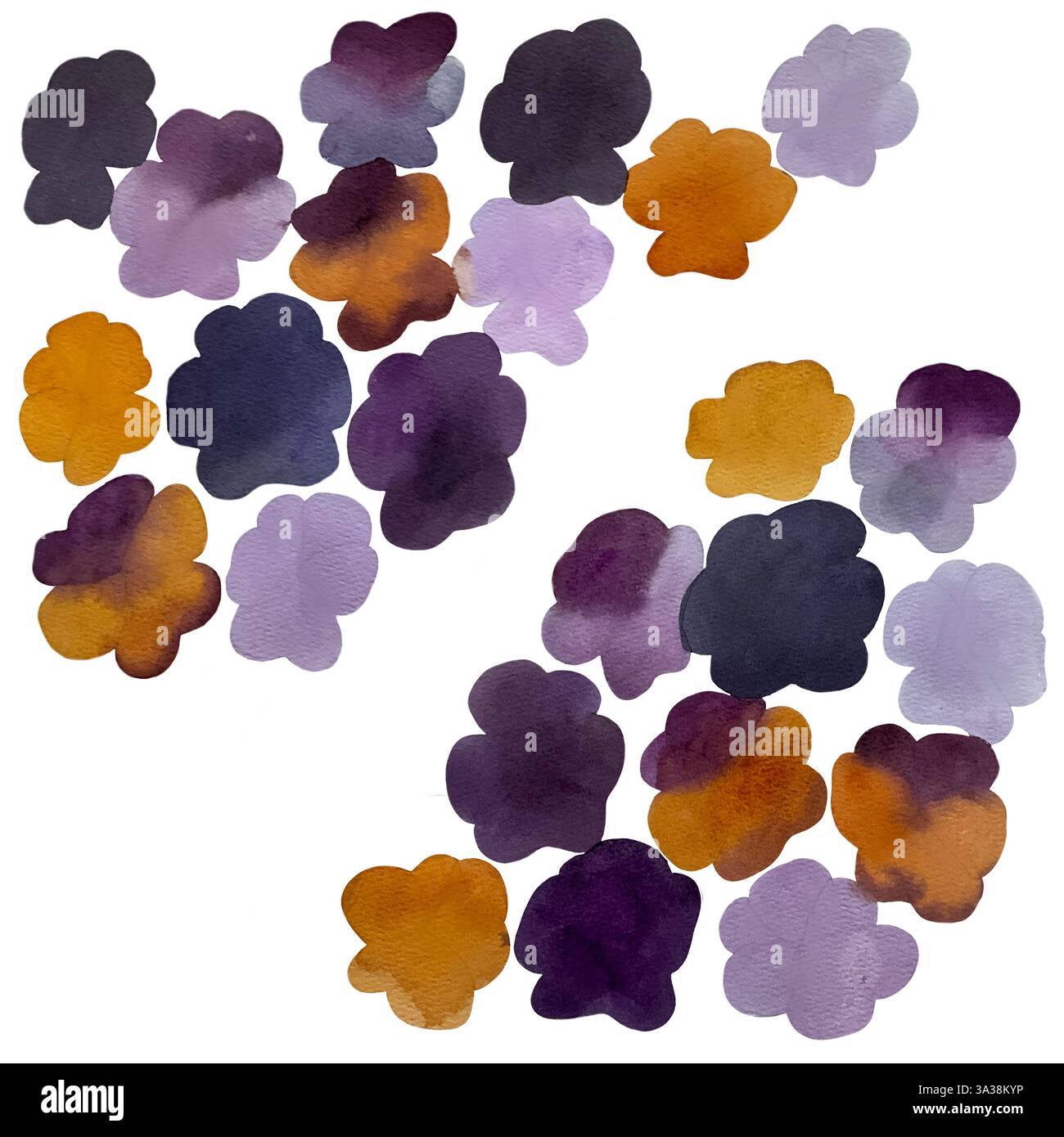 Hand drawn pansy flower watercolor illustration isolated on white ...