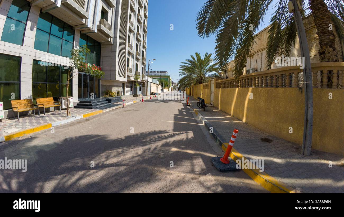 A quiet urban street lined with palm trees and modern buildings ...