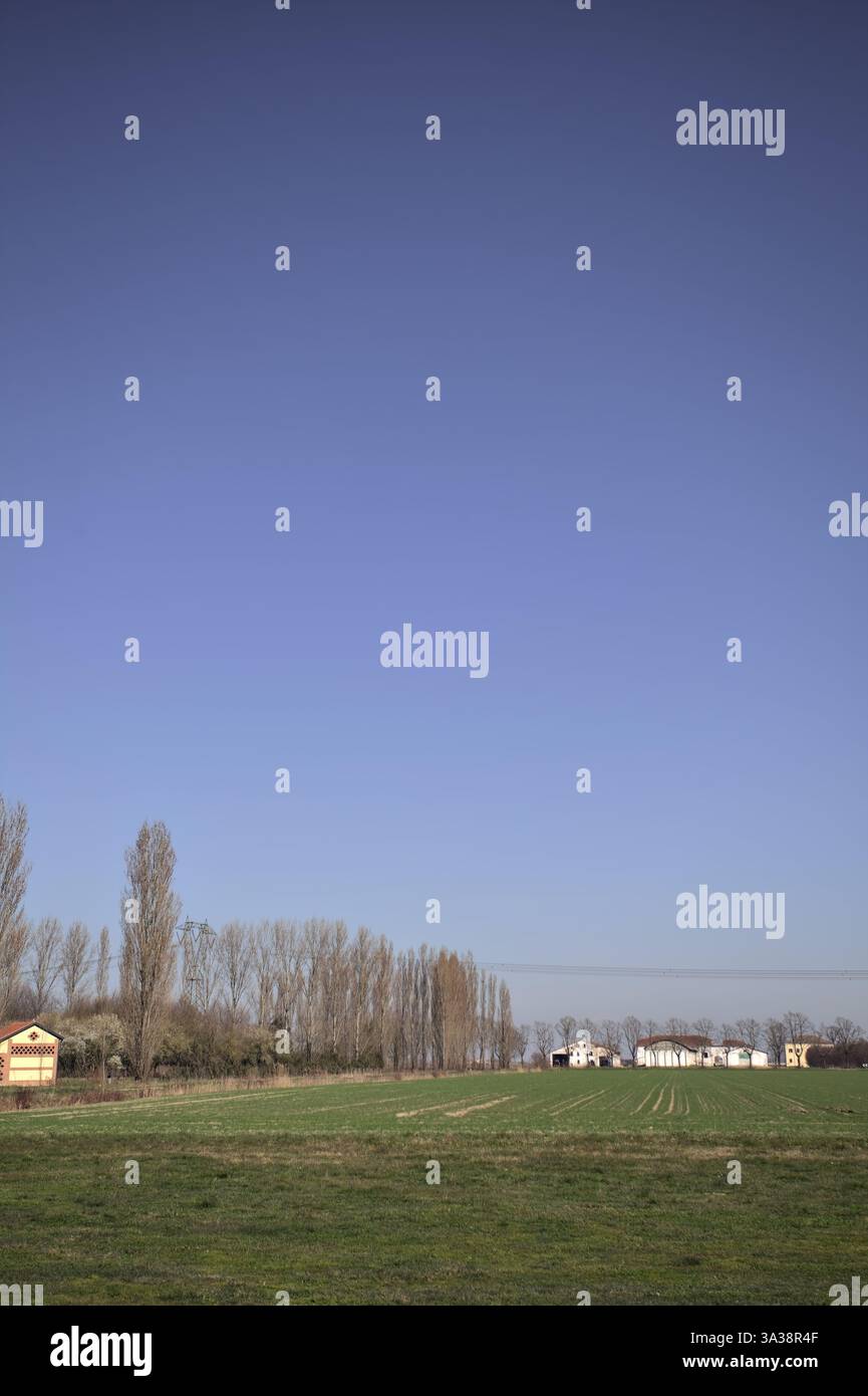 Empty meadow with trees by its side and a manor on the horizon in the ...