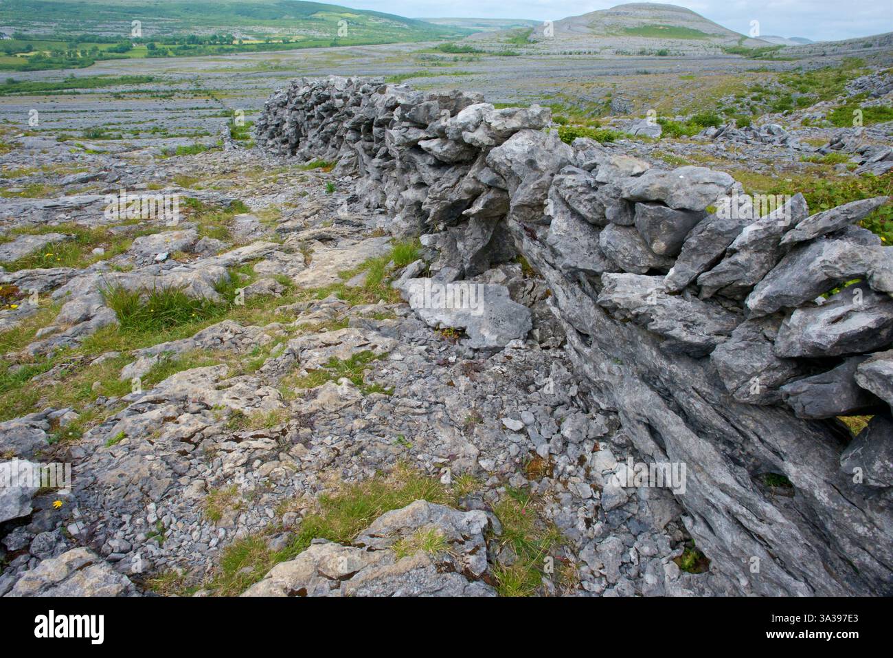 Dry stone wall, Burren, on the Mullaghmore Loop walk, County Clare ...