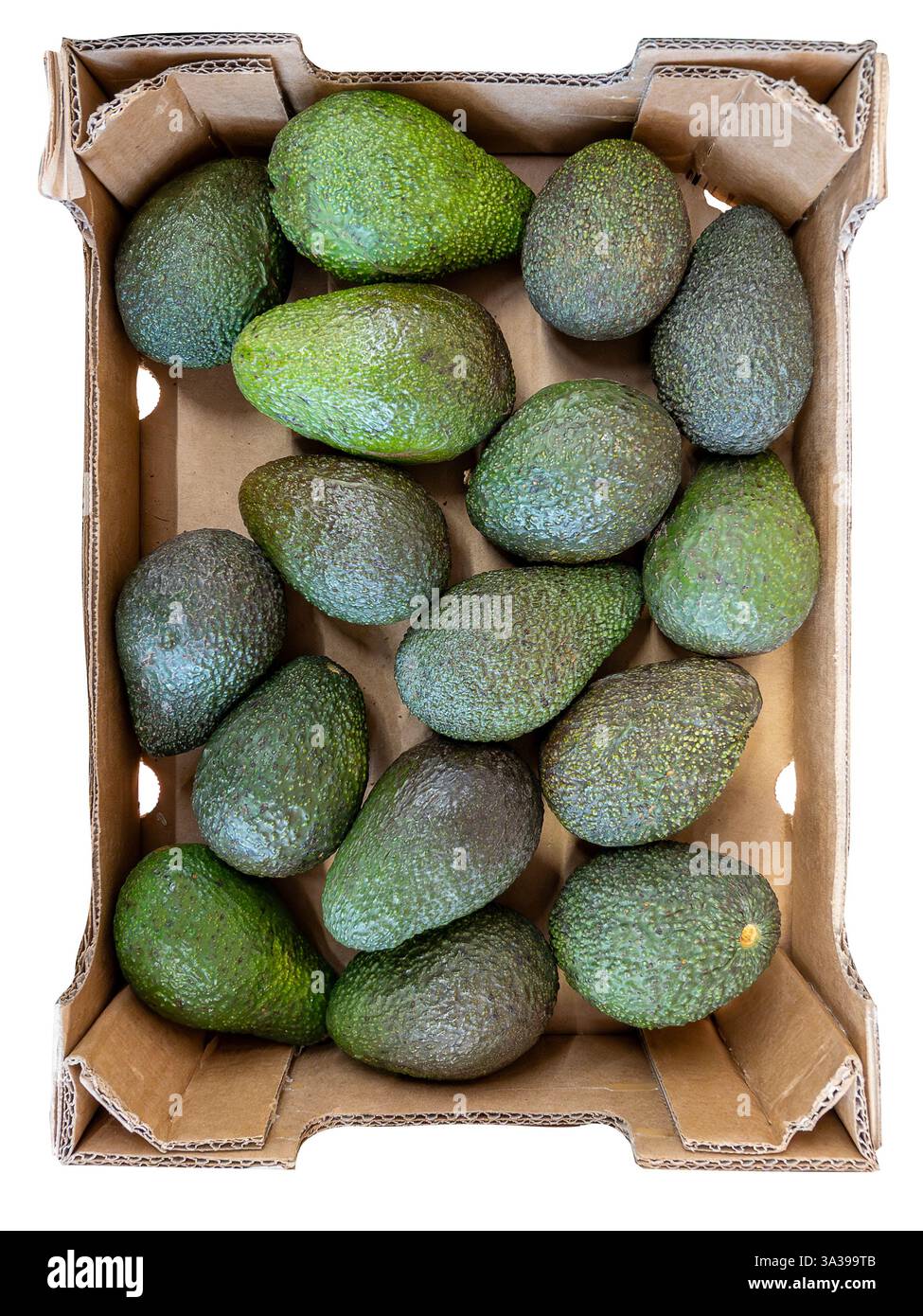 Avocado in cardboard box top view isolated on white with clipping path ...