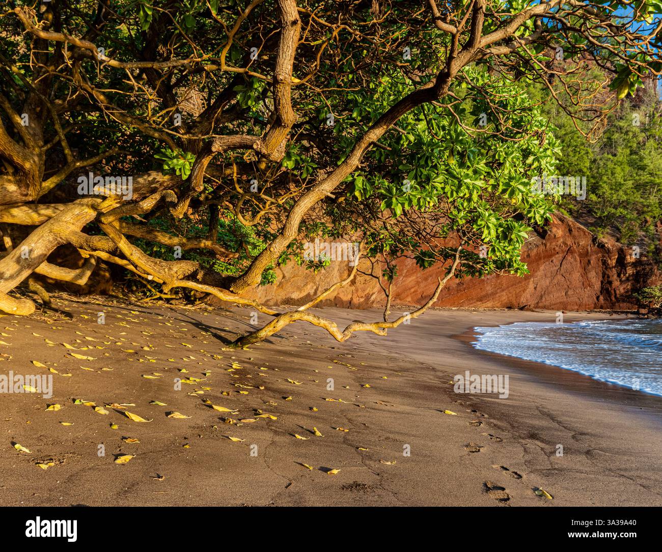 Kamini beach hi-res stock photography and images - Alamy