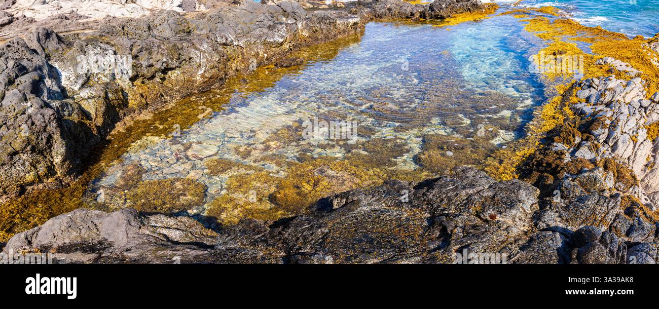 Tide Pools on The Volcanic Shoreline Below The Ironwood Cliffs, Kapalua ...