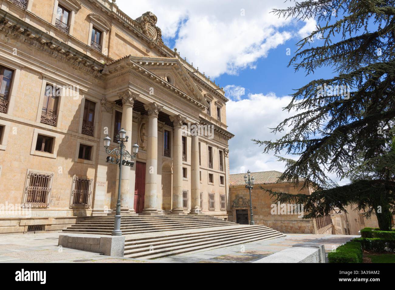 Salamanca - The palace Palacio de Anaya Stock Photo - Alamy