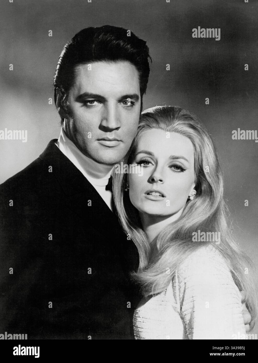 Celeste yarnall hi-res stock photography and images - Alamy