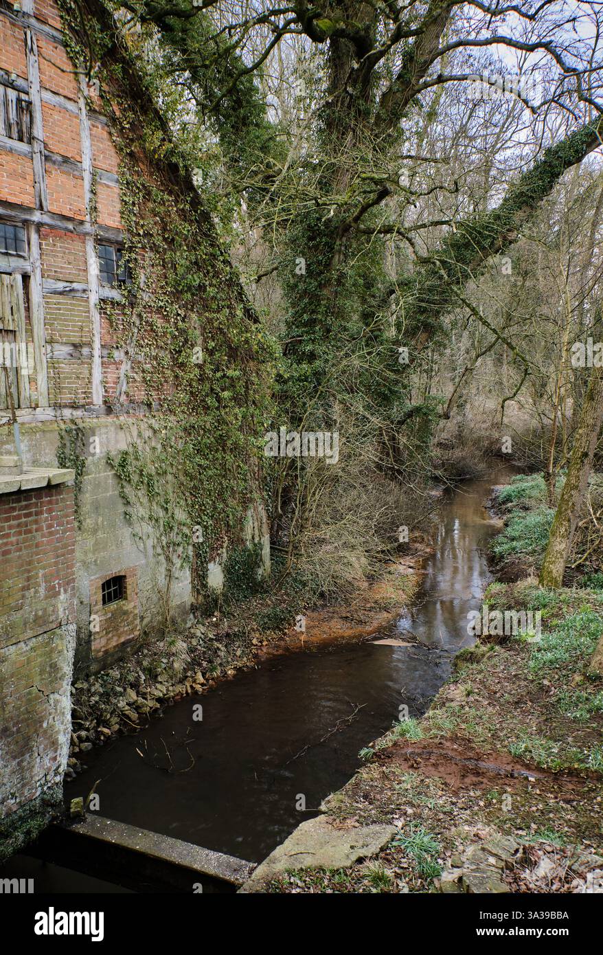 March 12, 2025 - Hoya-Germany: Historic half-timbered mill with ivy ...