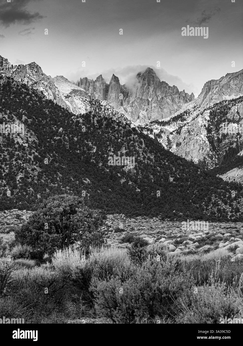 Highest climb Black and White Stock Photos & Images - Alamy