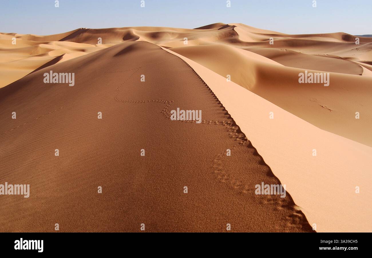 Mysterious Sand Formation In The Middle Of Sahara Stock Photo - Alamy