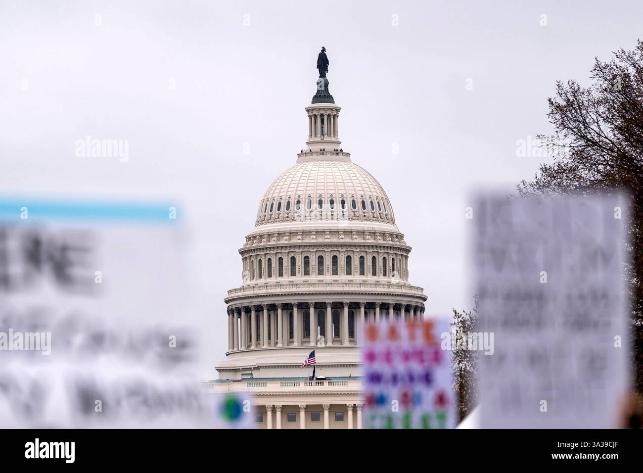 Washington, United States. 14th Mar, 2025. The U.S. Capitol Dome is ...