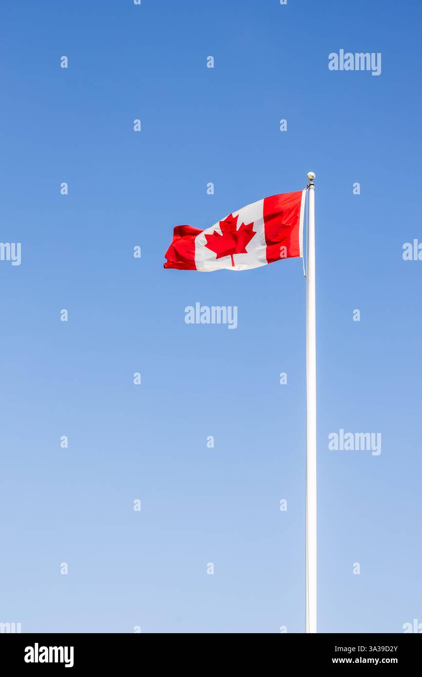Symbole du canada hi-res stock photography and images - Alamy