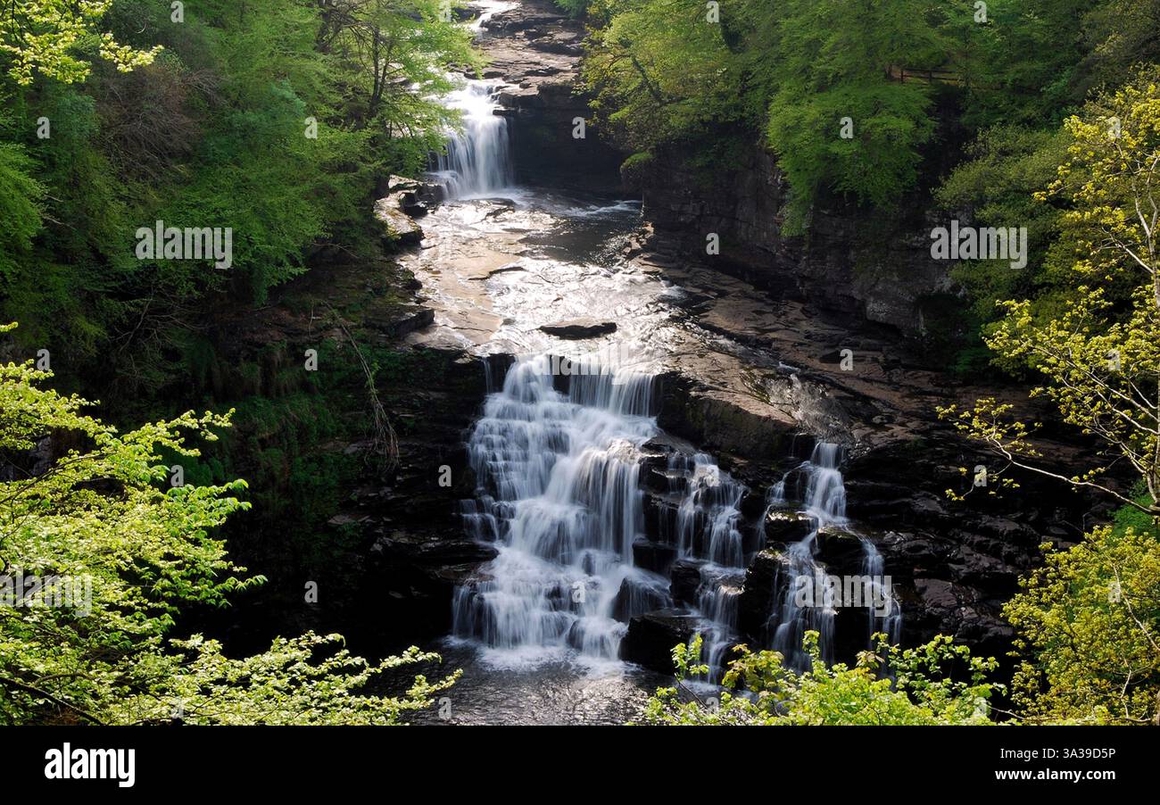 Trail through forest river hi-res stock photography and images - Alamy