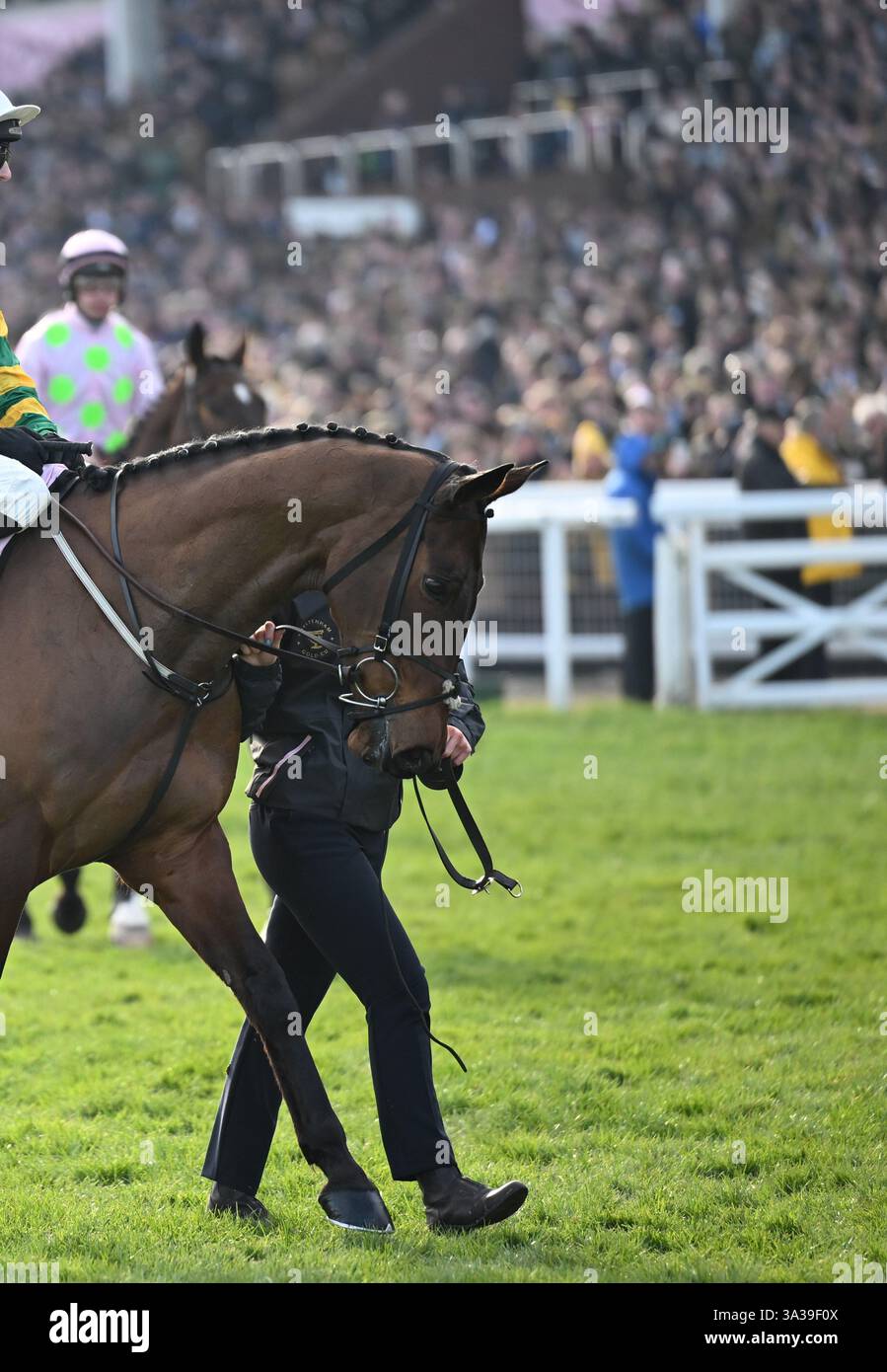 14th March 2025; Cheltenham Racecourse, Cheltenham, Gloucestershire ...