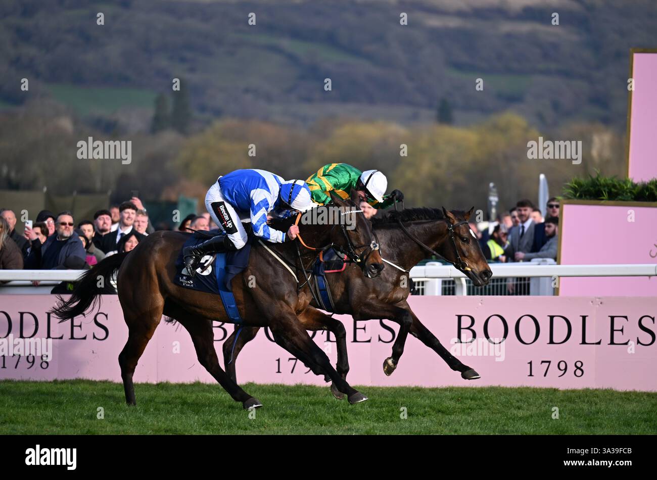14th March 2025; Cheltenham Racecourse, Cheltenham, Gloucestershire ...