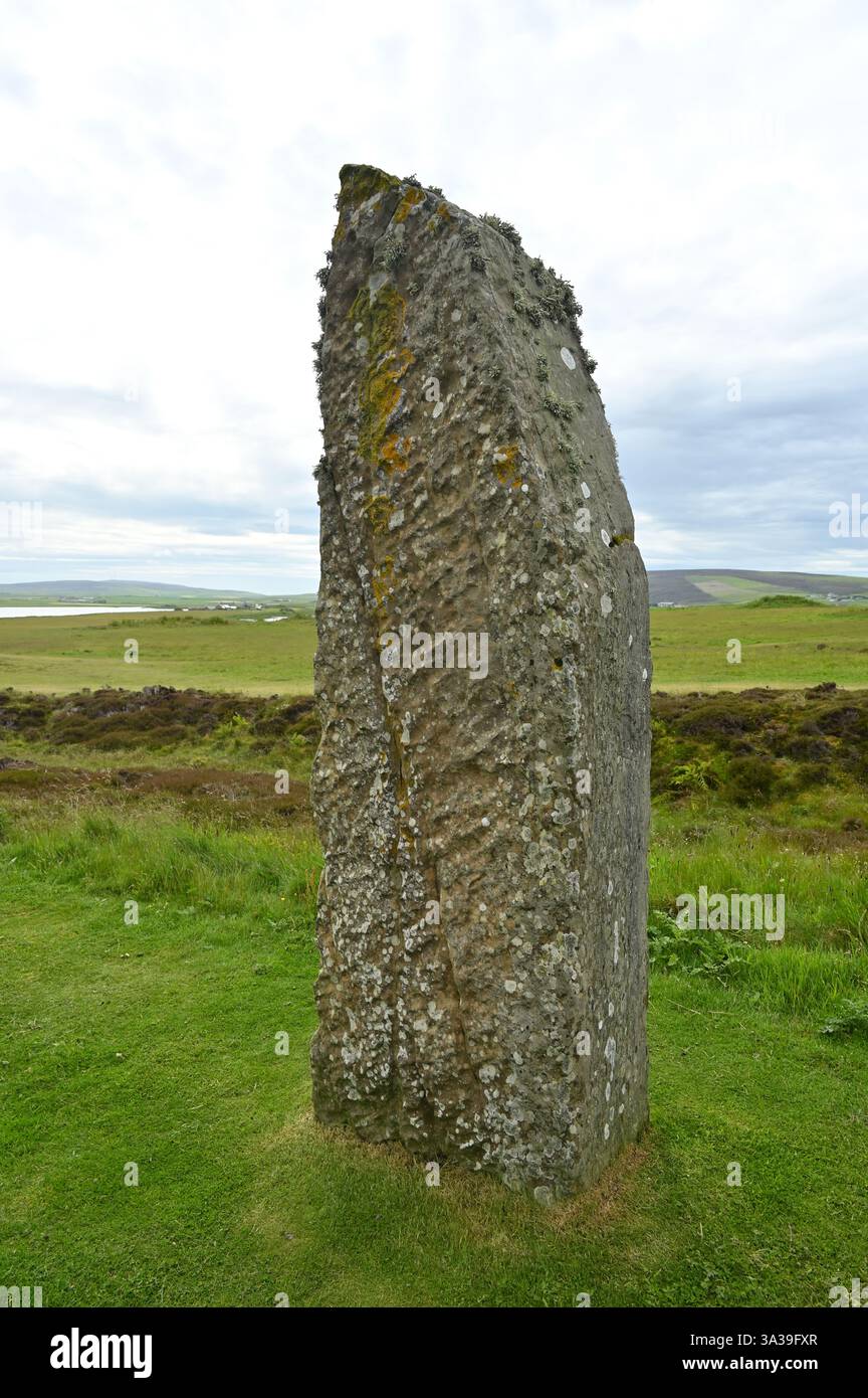 Standing stone forming part of Ring of Brodgar neolithic stone circle ...