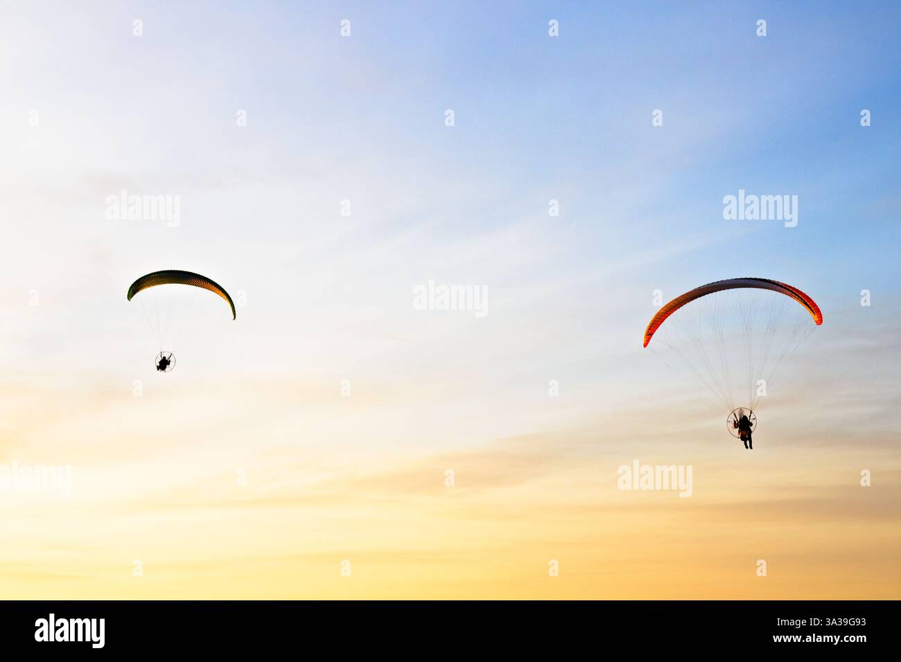 Bird gliding through sky hi-res stock photography and images - Alamy