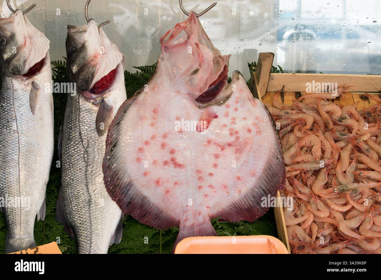 Fresh fishes at the market - turbot fish Stock Photo - Alamy
