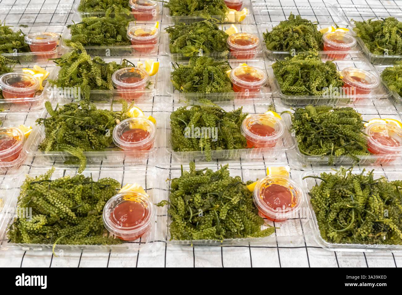 Caulerpa lentillifera hi-res stock photography and images - Alamy