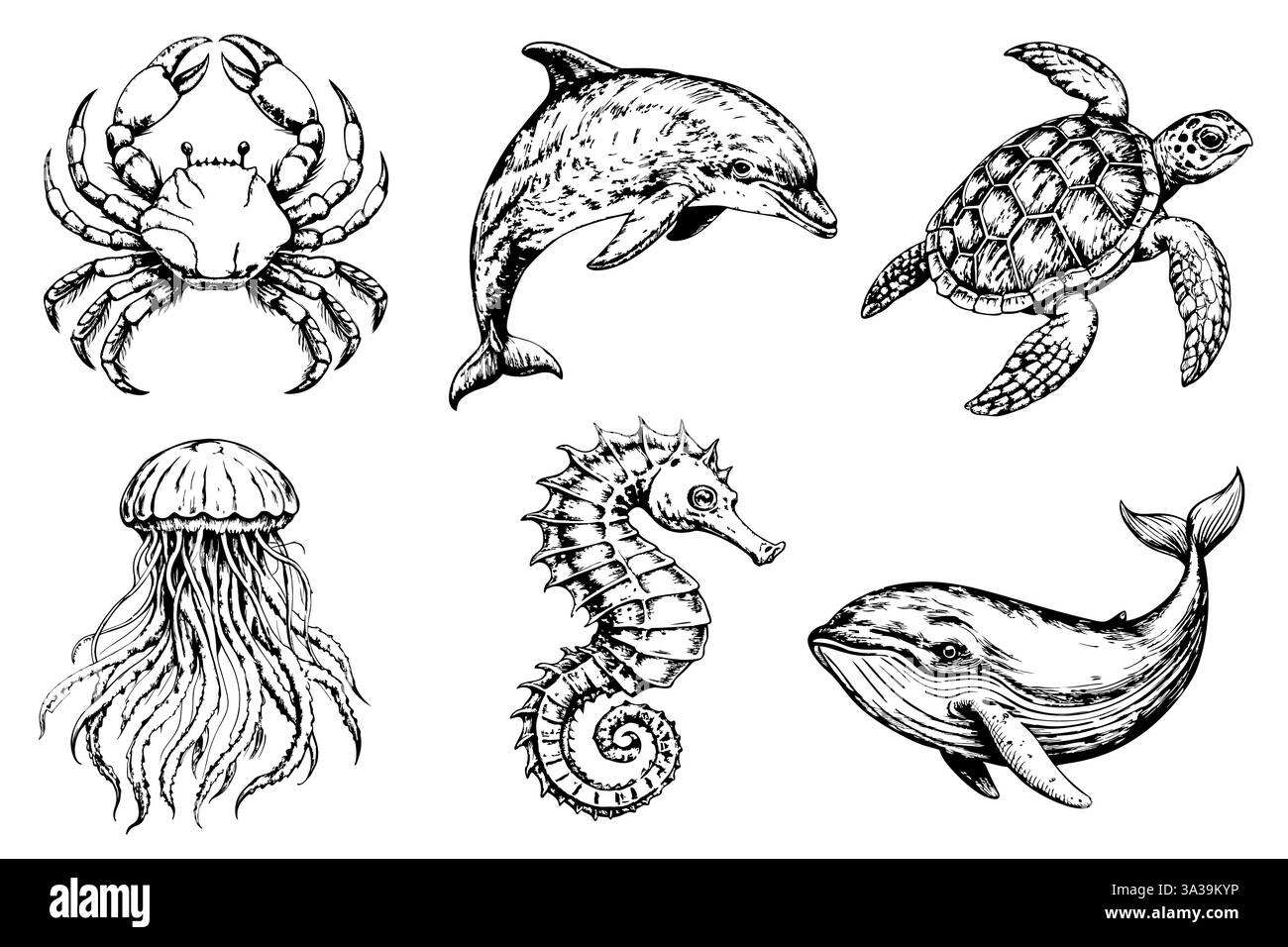 Set of sketches of sea creatures on a white background. Dolphin ...