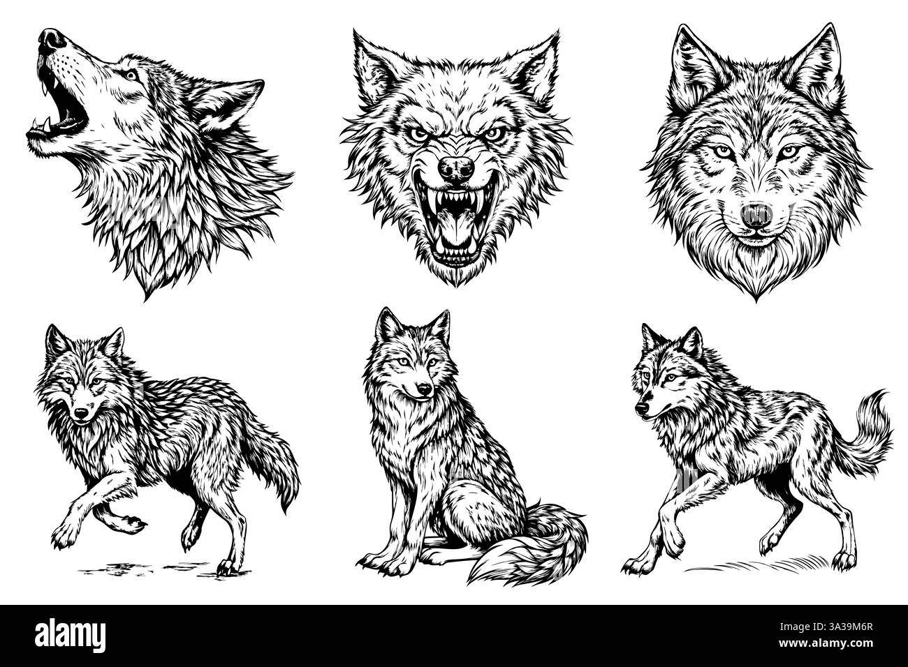 A series of wolf drawings with different expressions Stock Vector Image ...