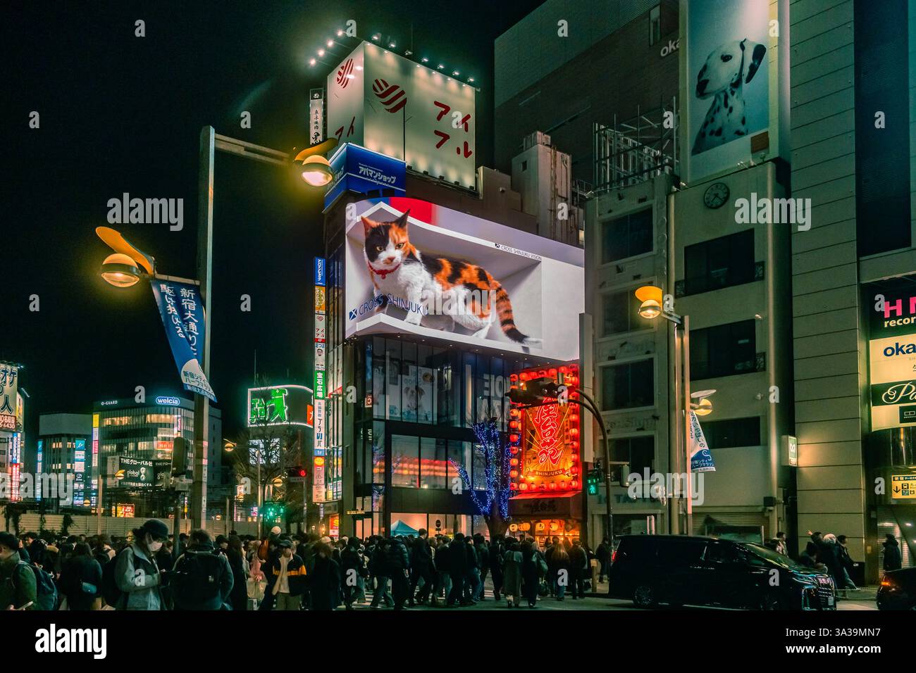 Tokyo, Japan-January 15, 2025: The hyperrealistic 3D calico cat moving ...