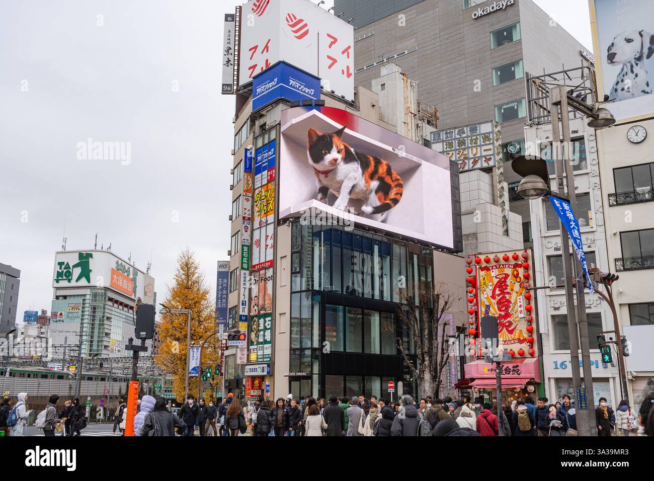 Tokyo, Japan-January 15, 2025: The hyperrealistic 3D calico cat moving ...