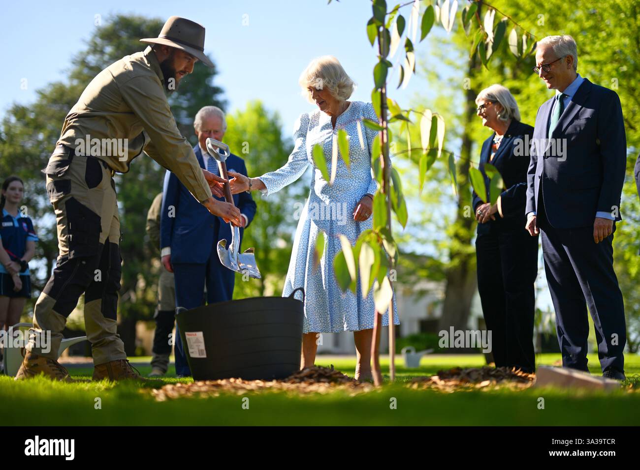 Queen Camilla during the ceremonial planting of two snow gum eucalyptus ...