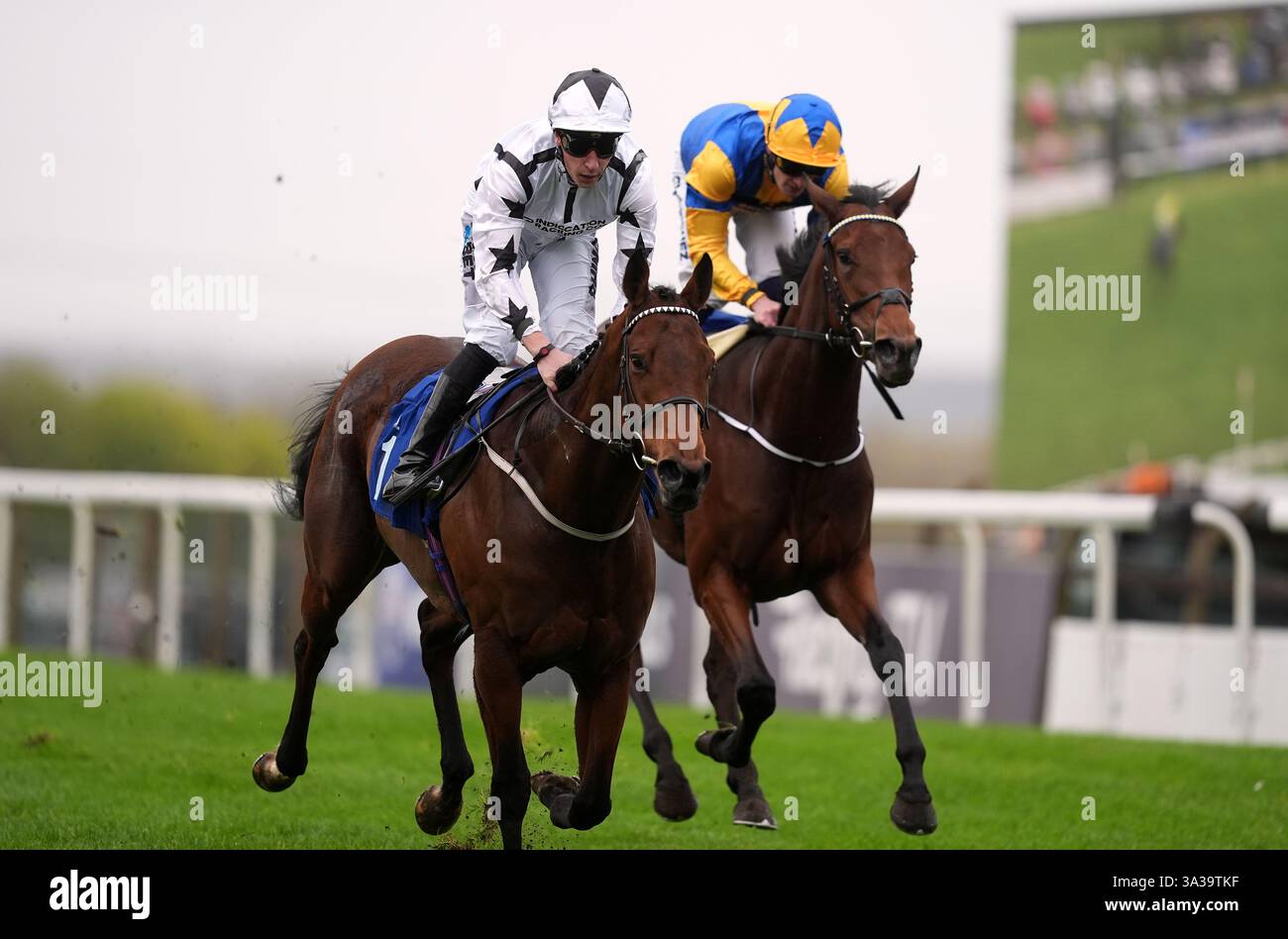 Sophia's Starlight ridden by jockey Sam James (black/white silks) on ...