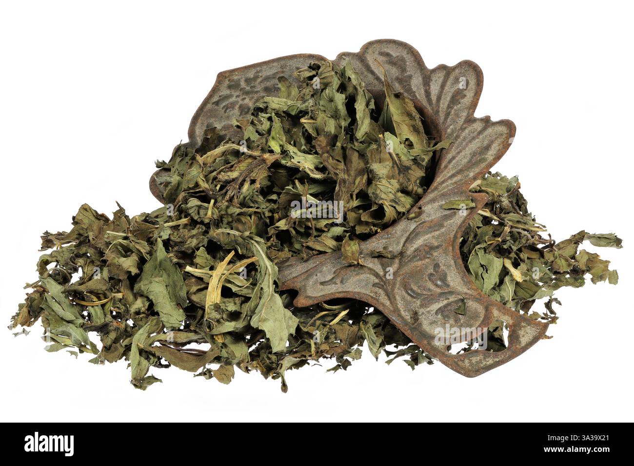 peppermint tea leaves in a rusty tea strainer isolated on white ...