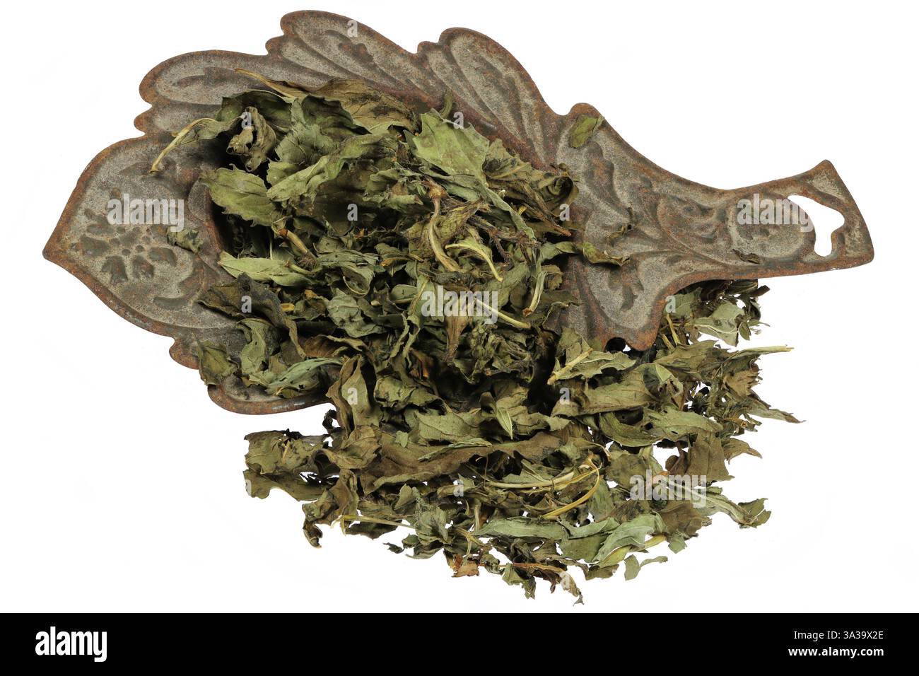 peppermint tea leaves in a rusty tea strainer isolated on white ...